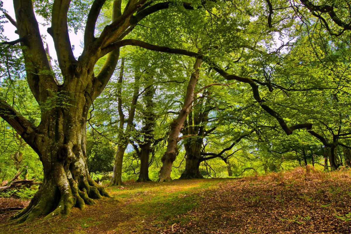 Where - use Brobizz here